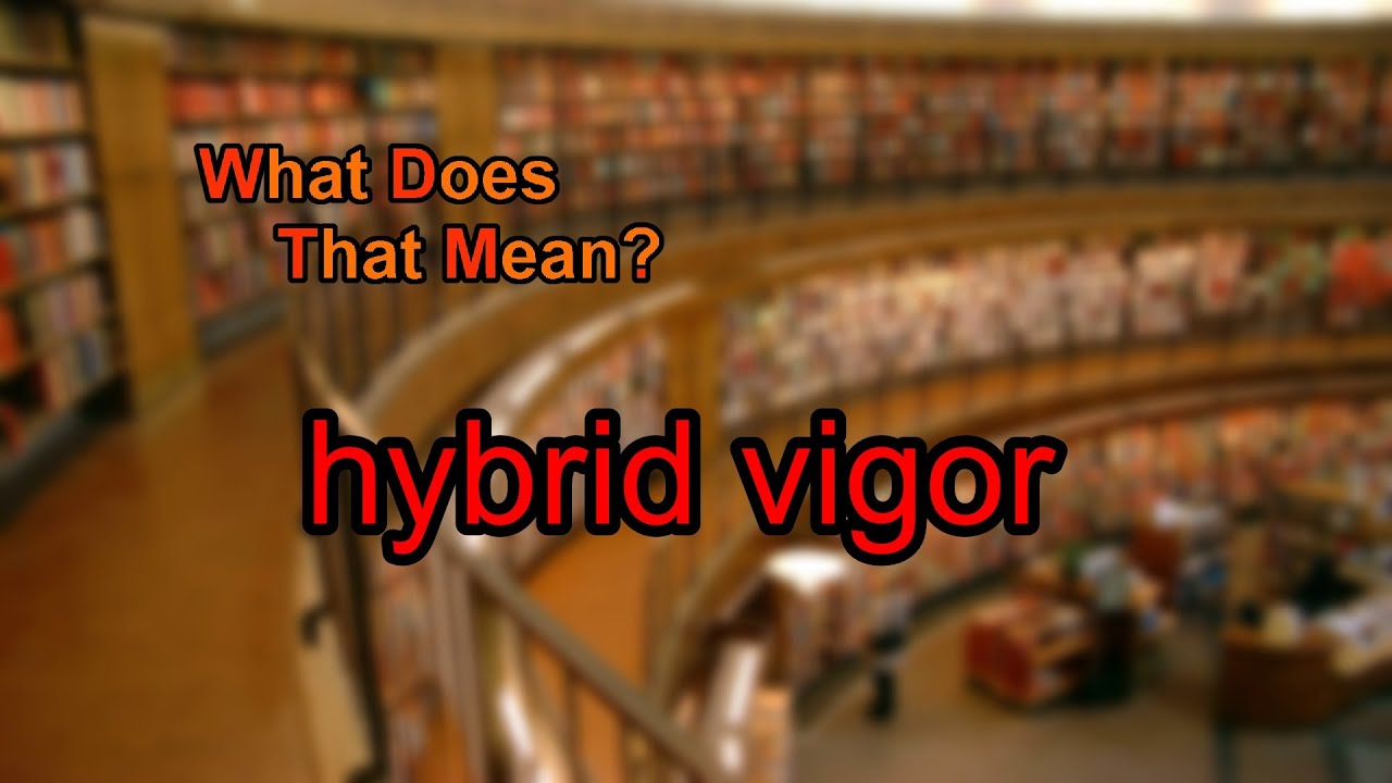 What does hybrid vigor mean? - YouTube
