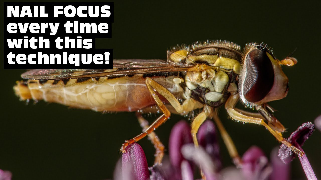 The Pinch and Lean Technique - YouTube