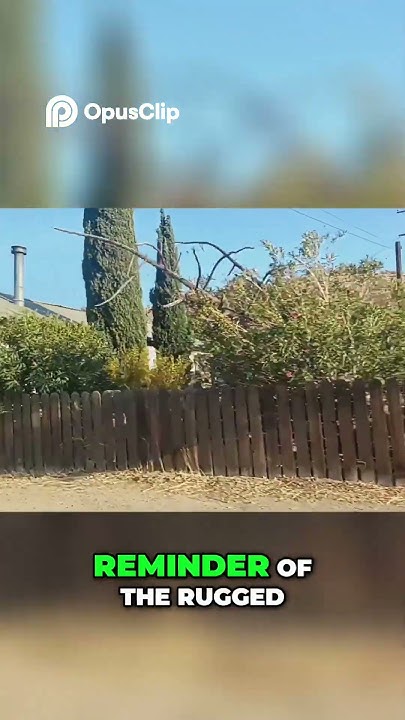 Randsburg: Feel the Ghosts & Gold Rush History in California! - YouTube