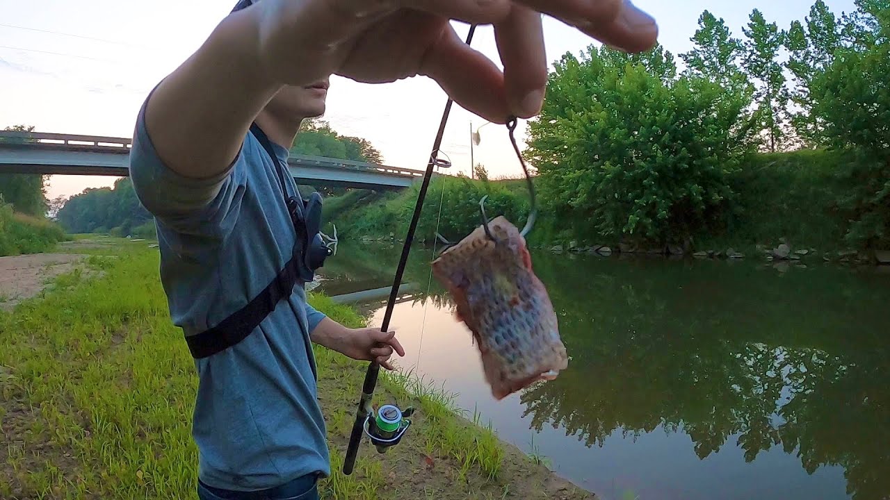 2 days & 2 nights chasing this elusive catfish!(SURPRISE CATCH) - YouTube