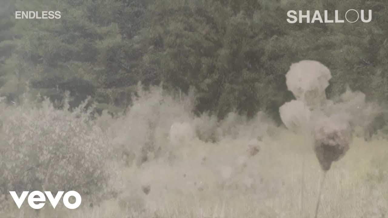 Shallou - Endless (Audio) ft. The Knocks - YouTube