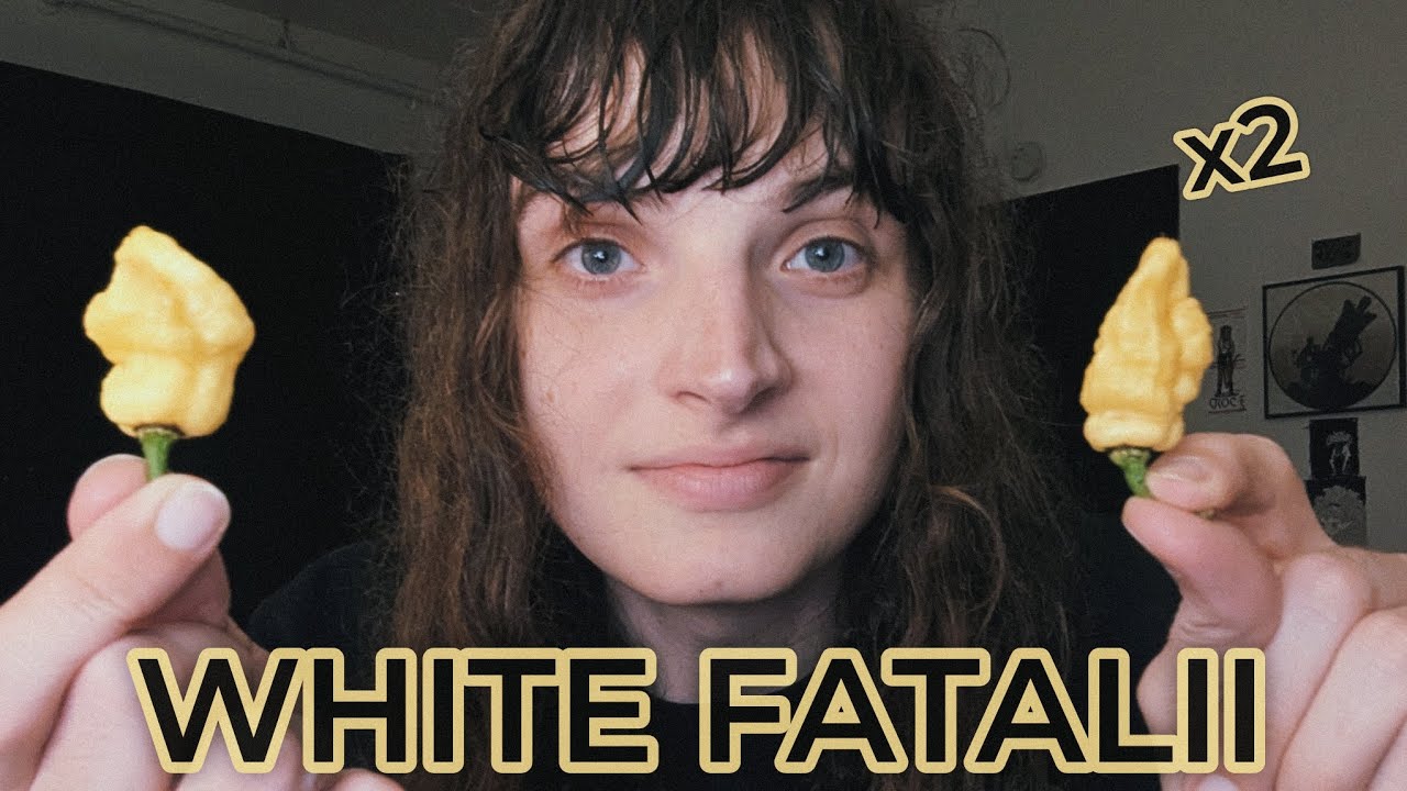 WHITE FATALII (×2) POD REVIEW - YouTube