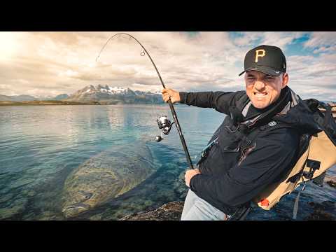 Heilbutt vom Ufer?! 🎣 Norwegen – Die ultimative Challenge!