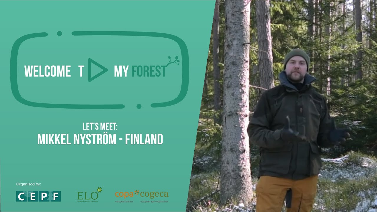 #WelcomeToMyForest - Meet Mickel Nyström in his forest in Finland - YouTube
