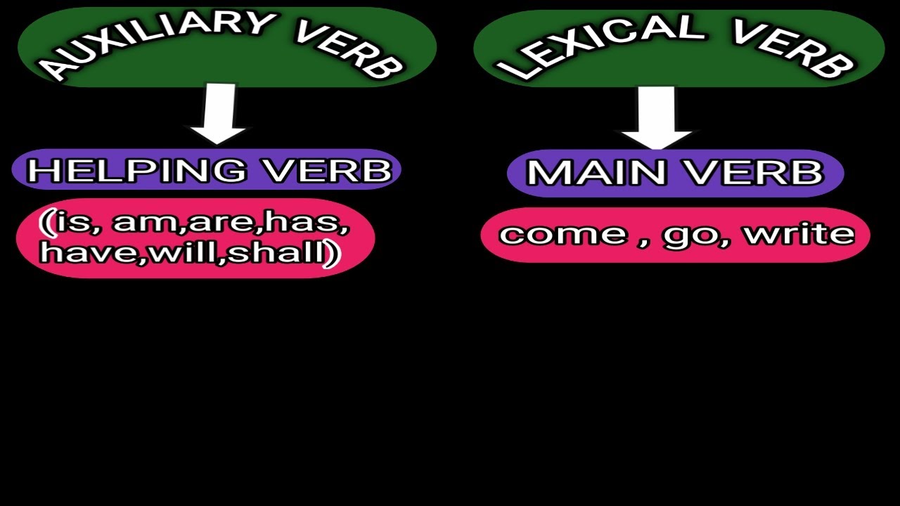 auxiliary and lexical verb.mp4|auxiliary and main verbs in english ...