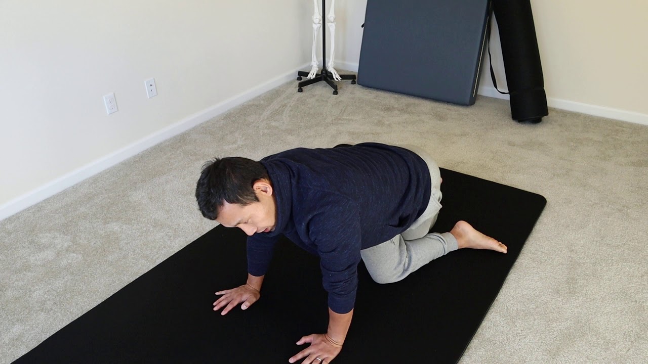 Feldenkrais Crawling For Hip Mobility and Core Strength - YouTube