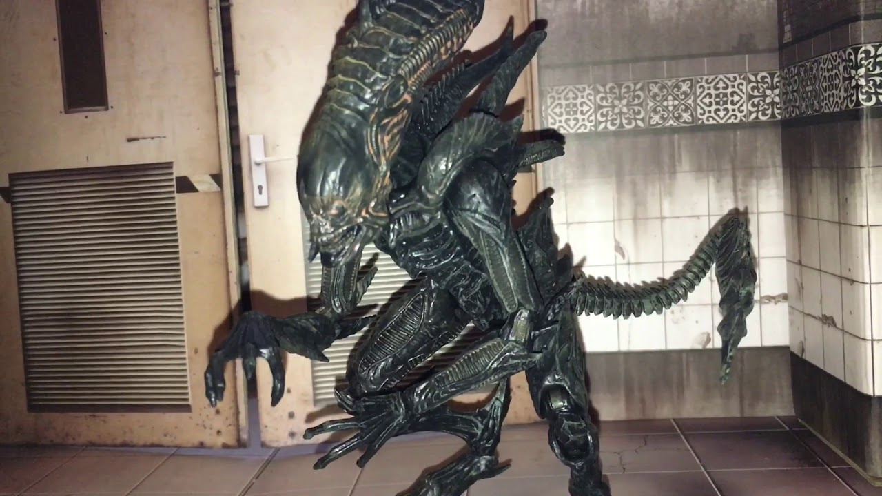 Aliens Xenomorph Raven - YouTube
