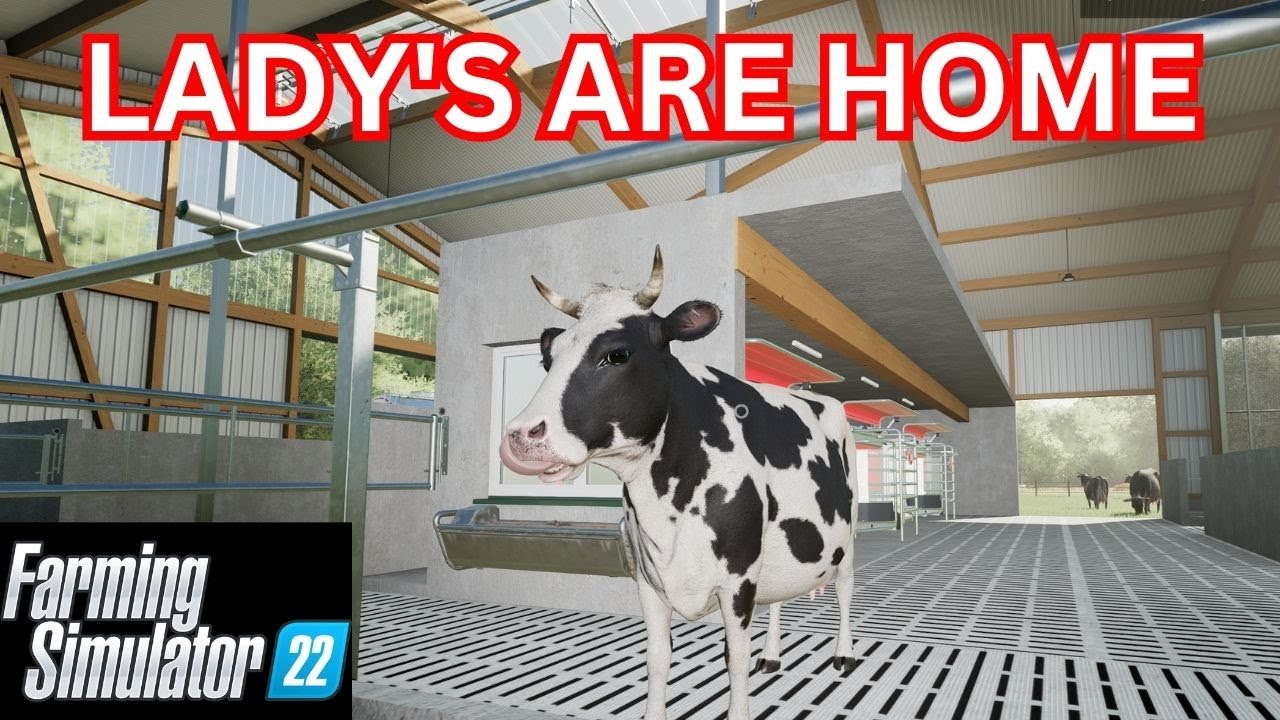 Farm Sim Saturday Cows are home lets tend to them and grow a crop - YouTube