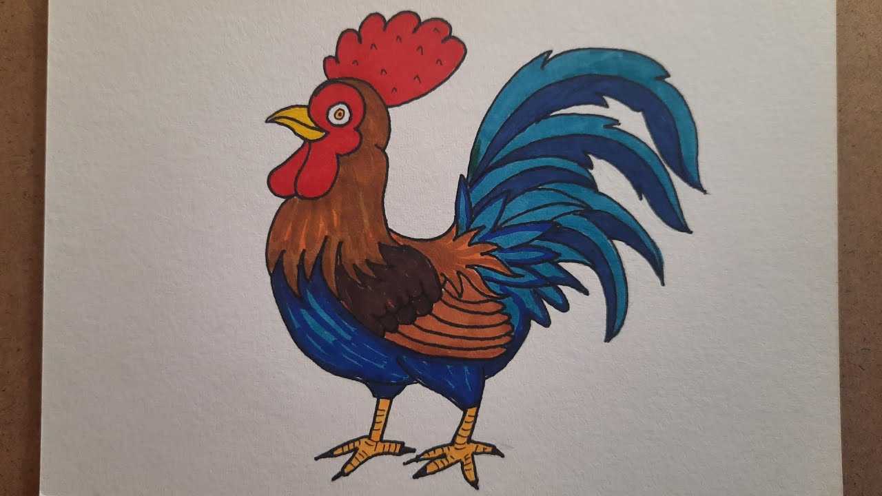 How to draw Cock l How to paint Cock using Alcoholic Markers l easy ...