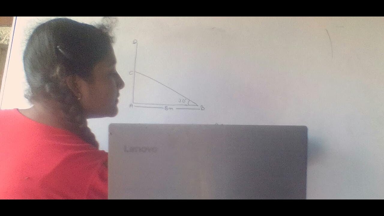 A tree breaks due to storm and the broken part bends so that the top of ...