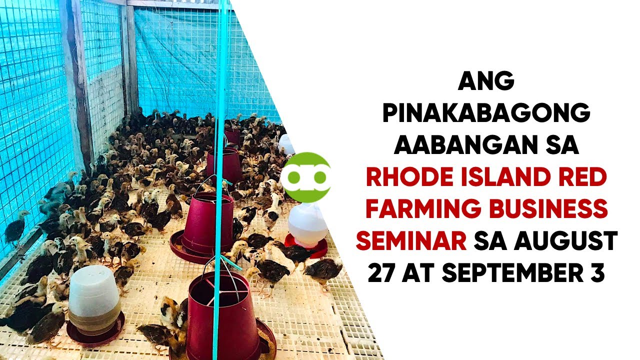 Ang Pinakabagong Aabangan Sa Rhode Island Red Farming Business Seminar ...