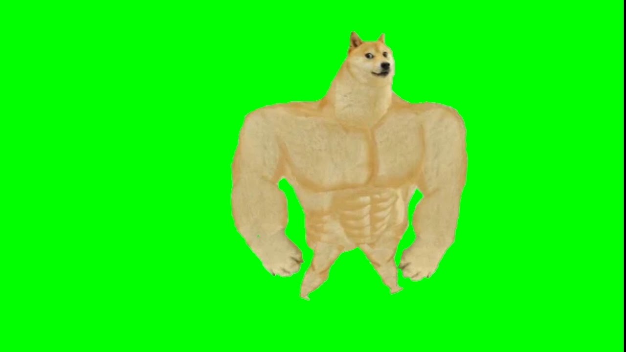 Doge Walking Green Screen || Doge Green Screen - YouTube