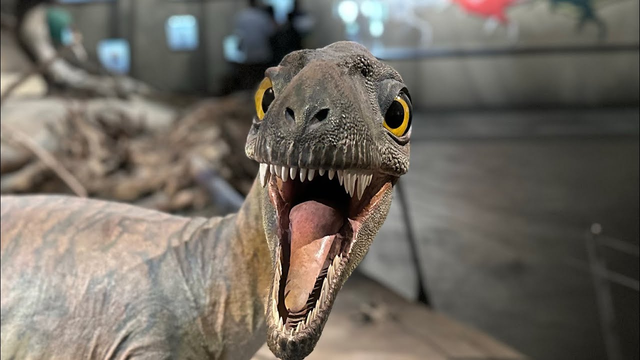 Drumheller city - a city of Dinosaurs 🦕 - YouTube
