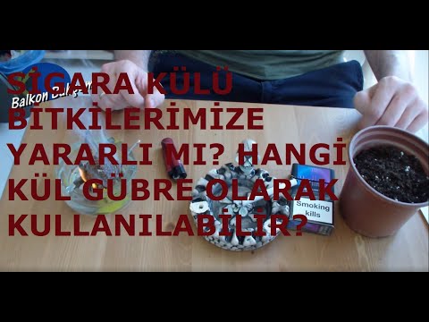Sigara Külünün Ve Diğer Küllerin Bitkiler Üzerindeki Etkisi