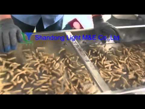 500kg/h soyabean protein making extruder/ textured soybean making ...