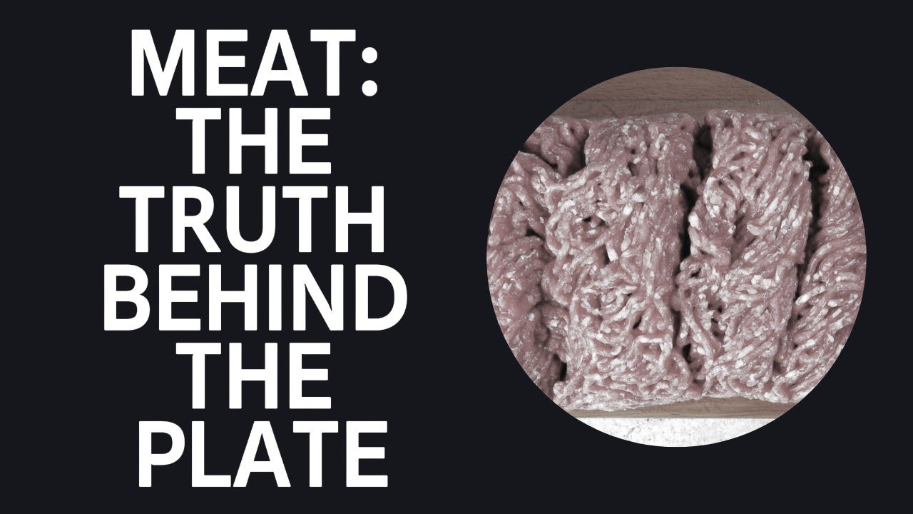 Meat: The Truth Behind the Plate - YouTube