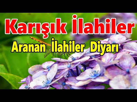 💜Karışık İlahiler 💜Aranan Sevilen İlahiler Diyarı💜 İlahiler Dinle 💜