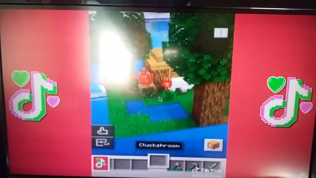 TikTok Minecraft - YouTube