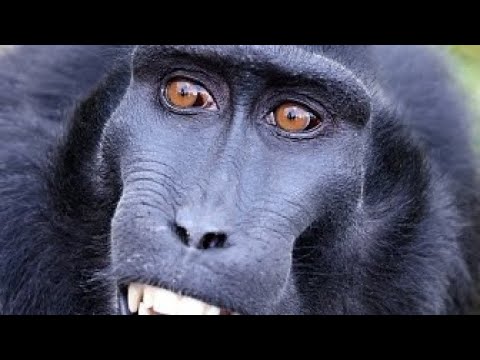 Fragmove | Radmir RP | made by makaka - YouTube