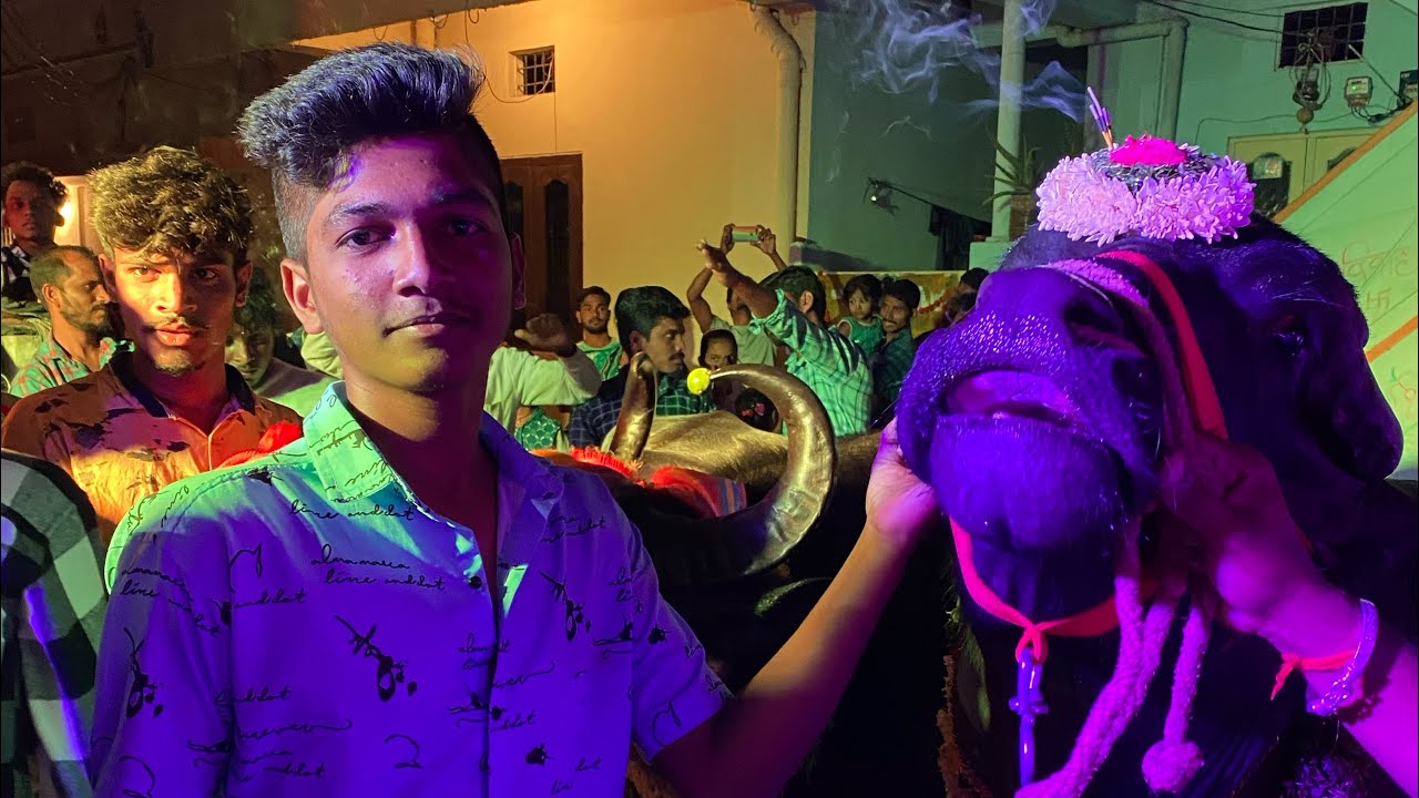 Moosapet Sadar 2022 || #sadar festival in #Hyderabad || Naiwik Tv - YouTube
