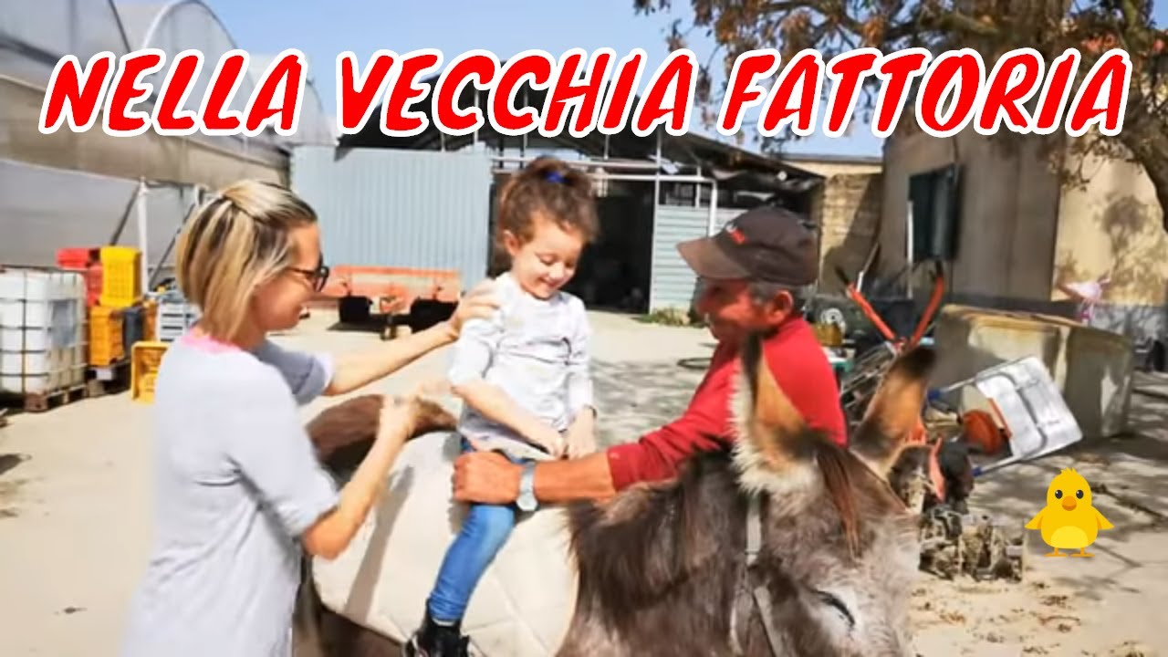 NELLA VECCHIA FATTORIA - YouTube