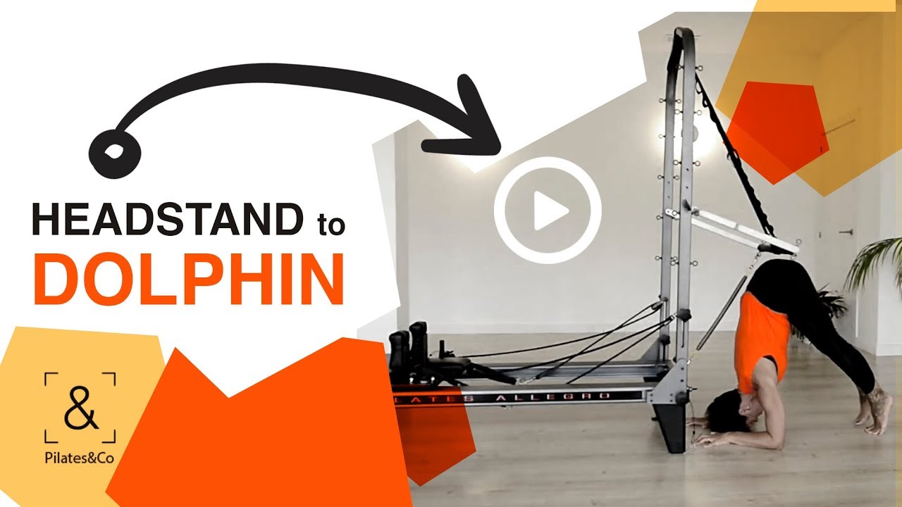 Headstand to dolphin. Pilates & Co. - YouTube