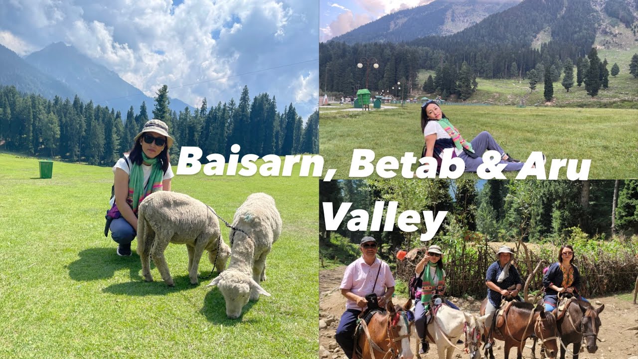Baisarn( mini Switzerland) II Betab valley Aru Valley # Pahalgam II ...