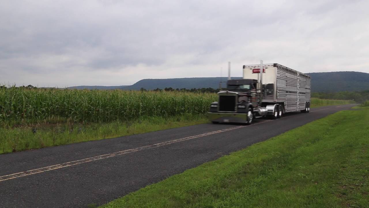 Brown Transport Peterbilt 379 & Kenworth W900B - YouTube
