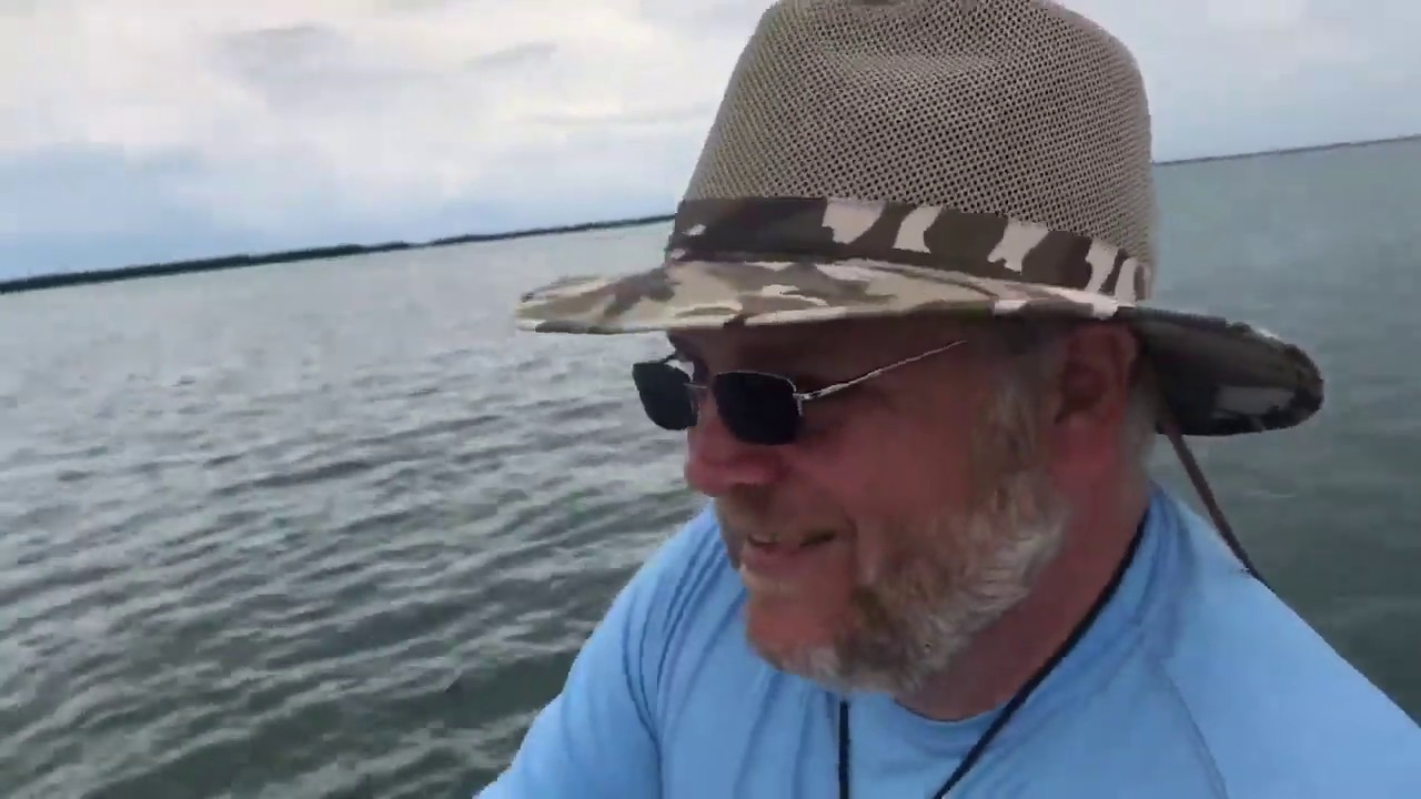 200 Pound Plus Nurse Shark in San Carlos Bay off Sanibel Island - YouTube