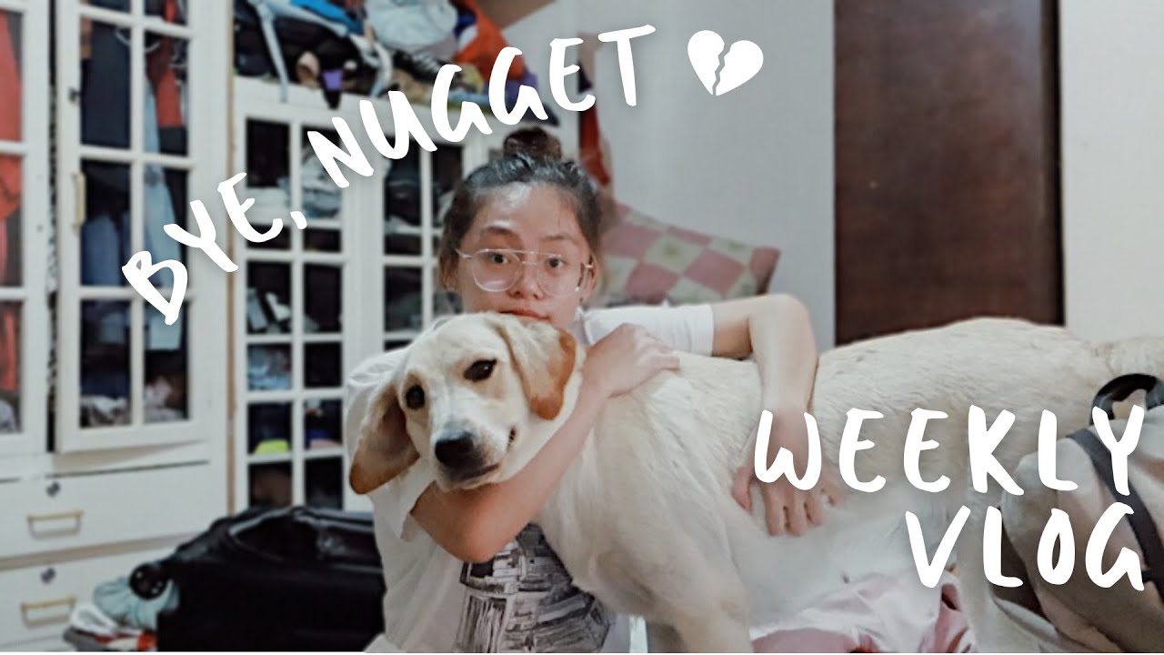 Vlog: Breaking Down and Saying Goodbye to Nugget || Michelle G. - YouTube