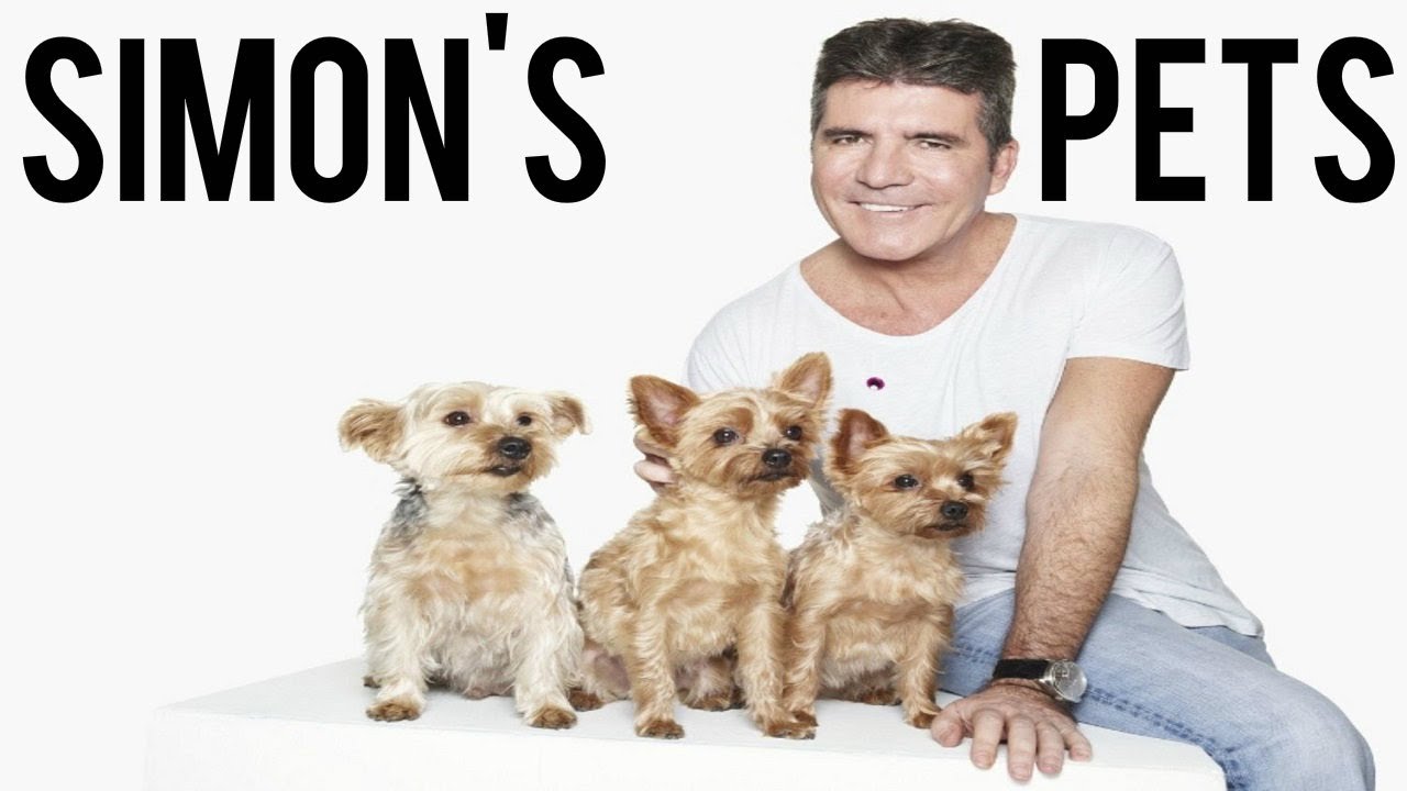 Simon Cowell Dogs Pets 2017 - YouTube