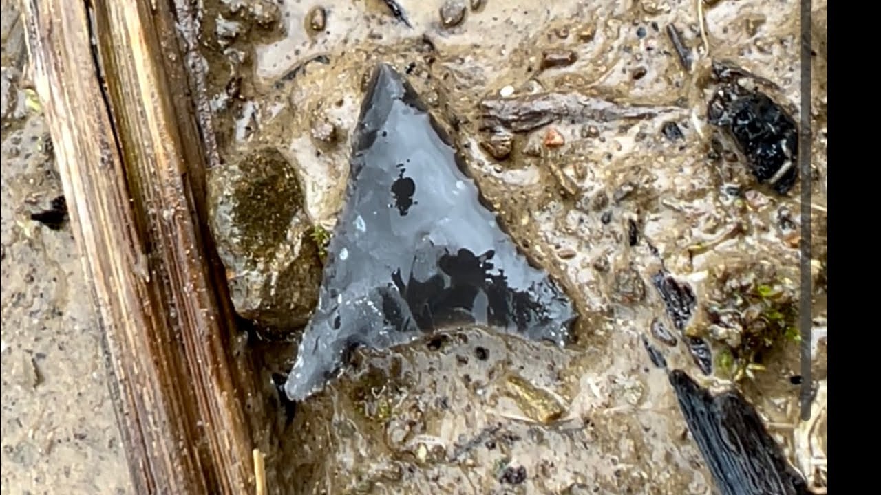 Arrowhead Hunting: killer finds! - YouTube