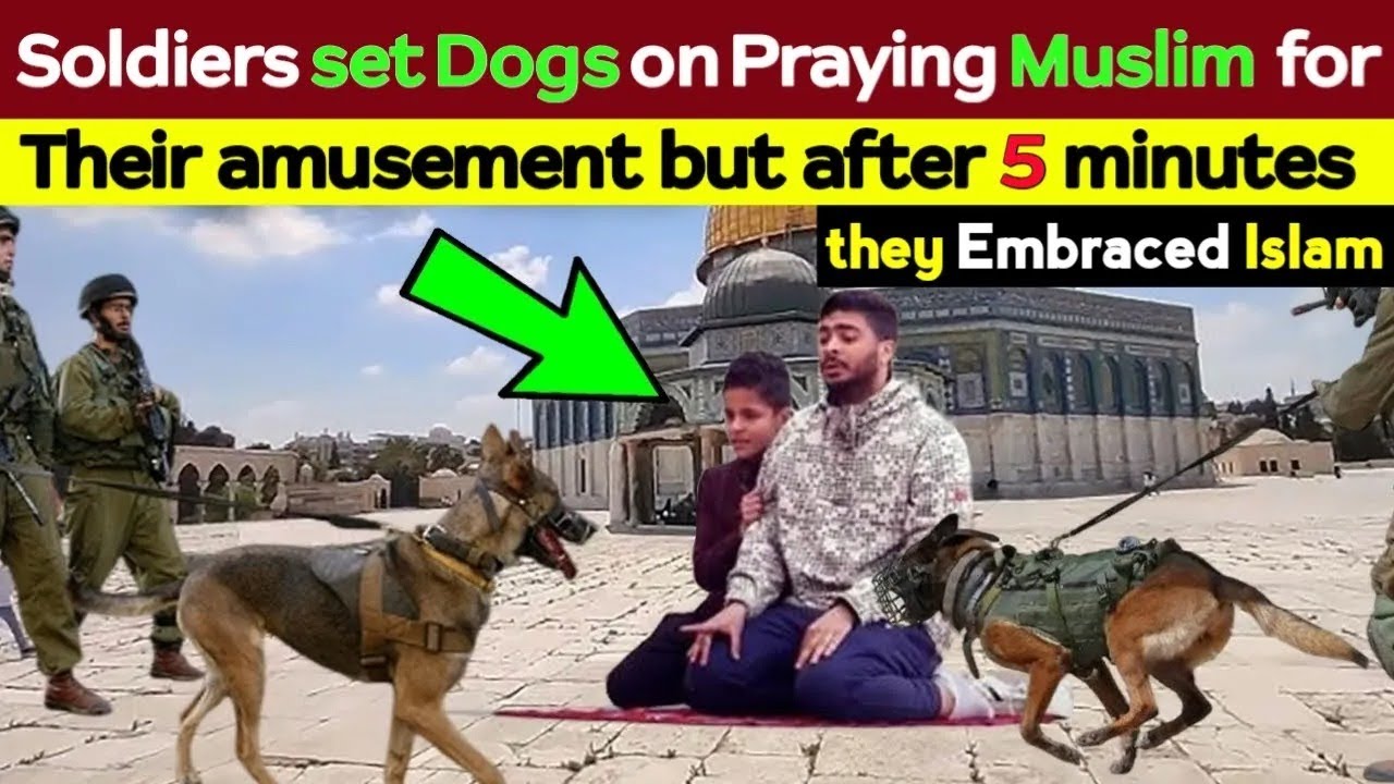 Soldiers Set Dogs on praying Muslim for their Amusement But after 5 ...