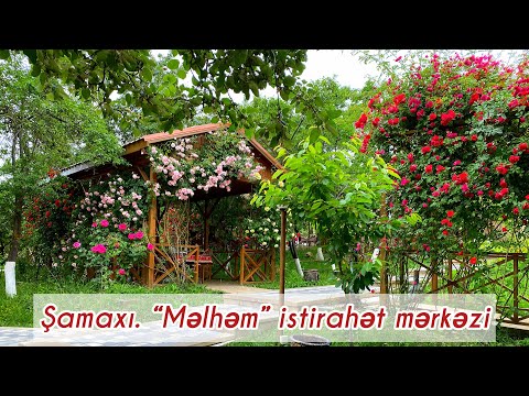 Samakhi district - Azerbaijan ⛺(Məlhəm istirahət mərkəzi) 😍Gözəl Şamaxım😍