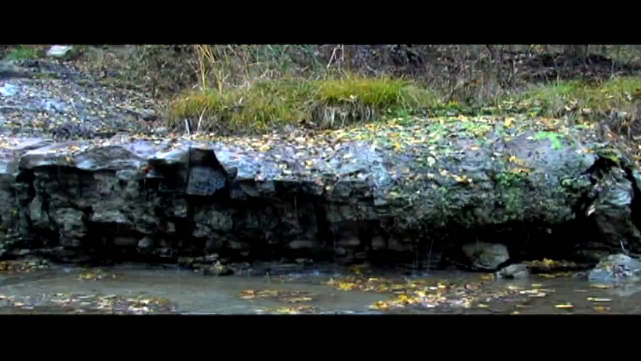 New Footage from "Return to PrairyErth." - YouTube