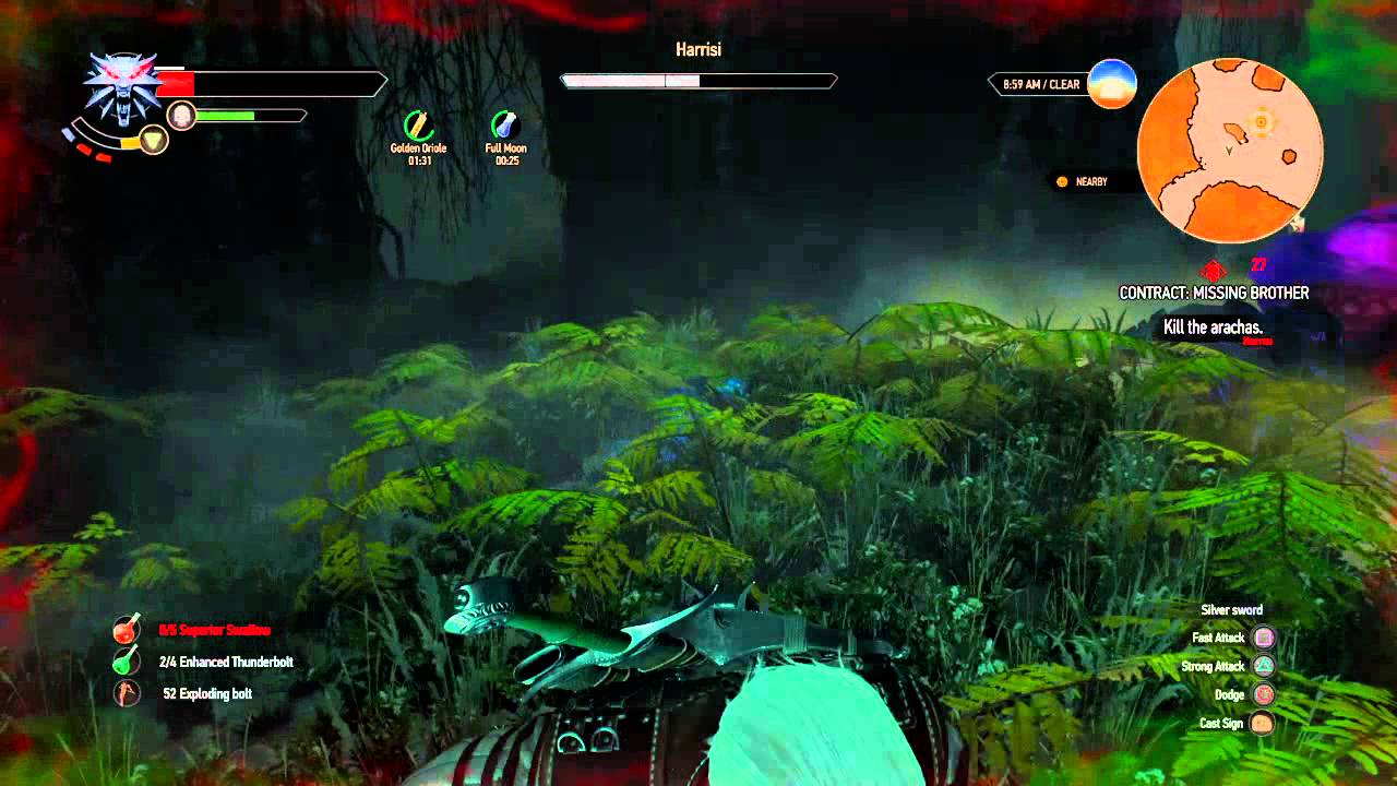 The Witcher 3: mother of all spiders (arachas boss fight) - YouTube