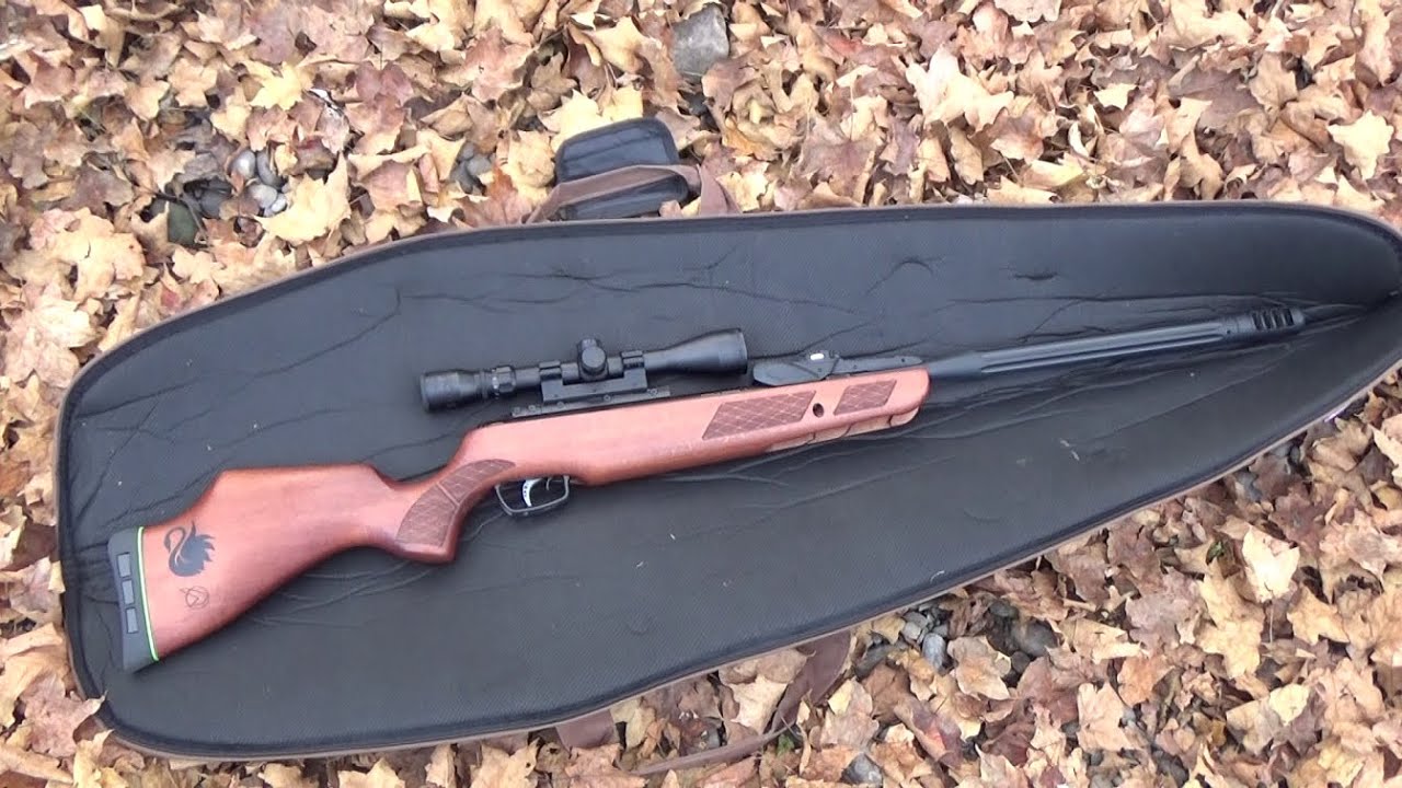 Gamo Swarm Bone Collector .22 Caliber Pellet Rifle At The Creek - YouTube
