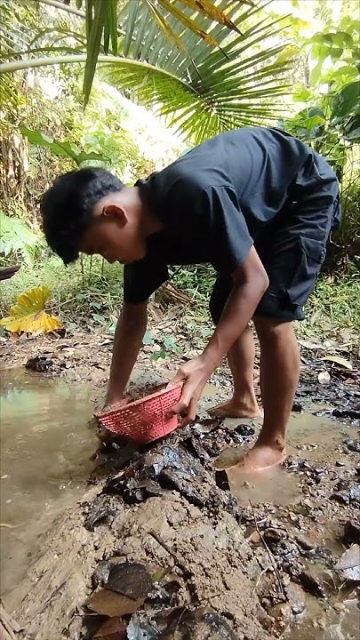 KURAS PARIT SAMPE KERING - YouTube