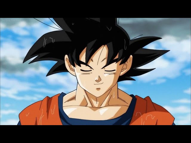 Dragon Ball Z Goku Normal Face