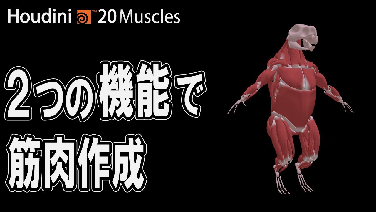 【Houdini 20新機能】新しいFranken Muscleの紹介 - YouTube