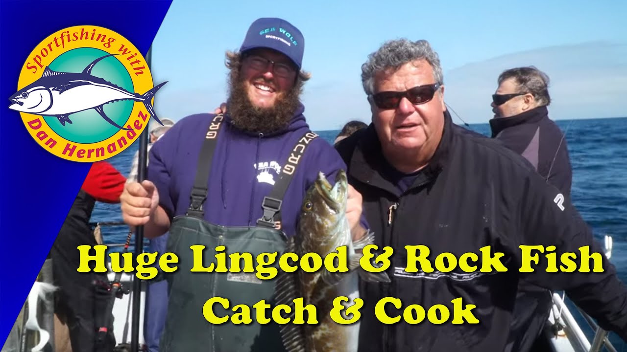 Huge Lingcod & Rock Fish - Catch & Cook Aboard The Sea Wolf - YouTube