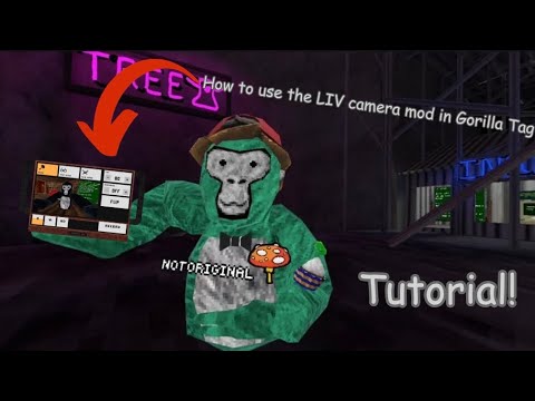 How to use the LIV camera mod in Gtag! Tutorial!! - YouTube