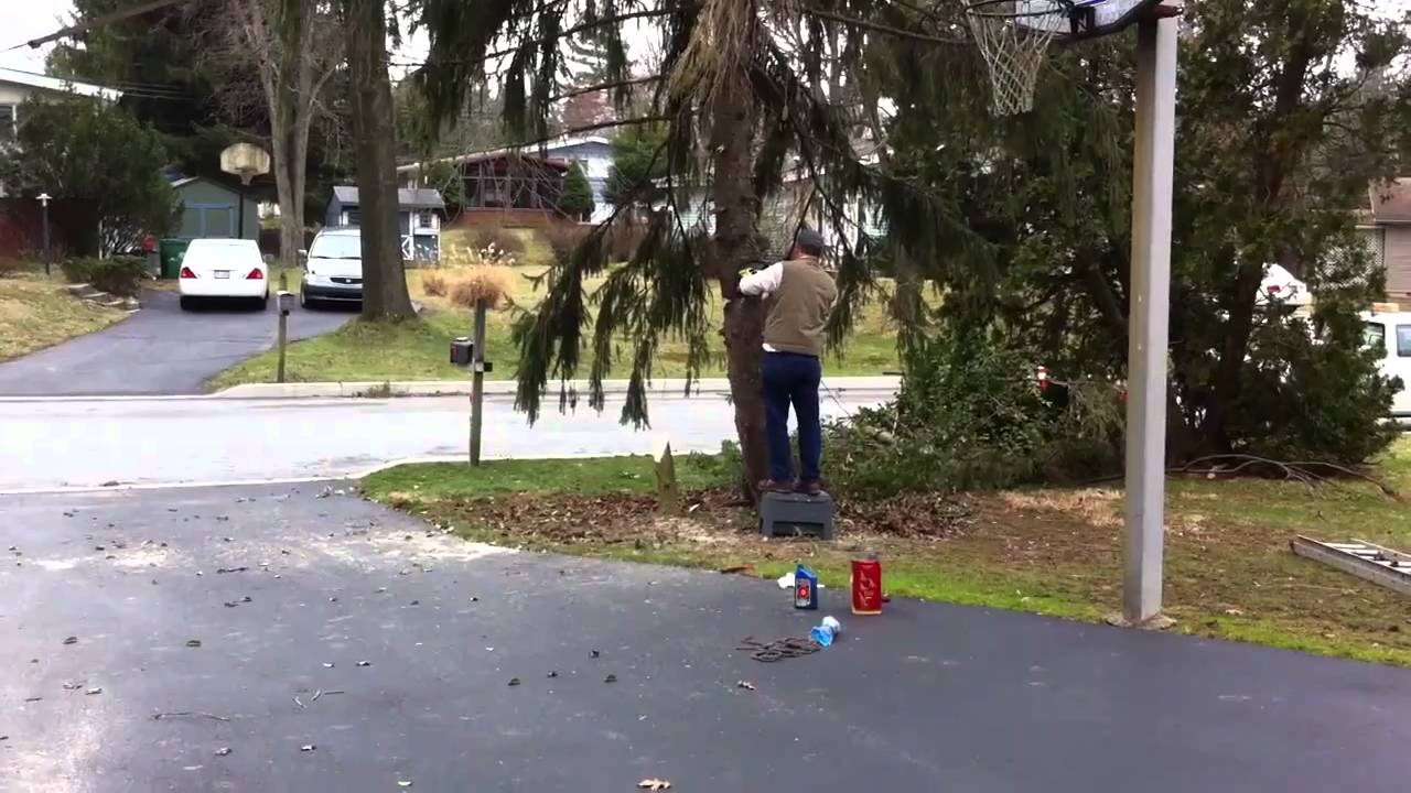 Man VS Tree - YouTube