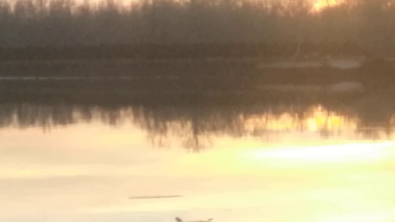 SAMOHOTKA POCERINA 2 BARZE NA SAVU - YouTube