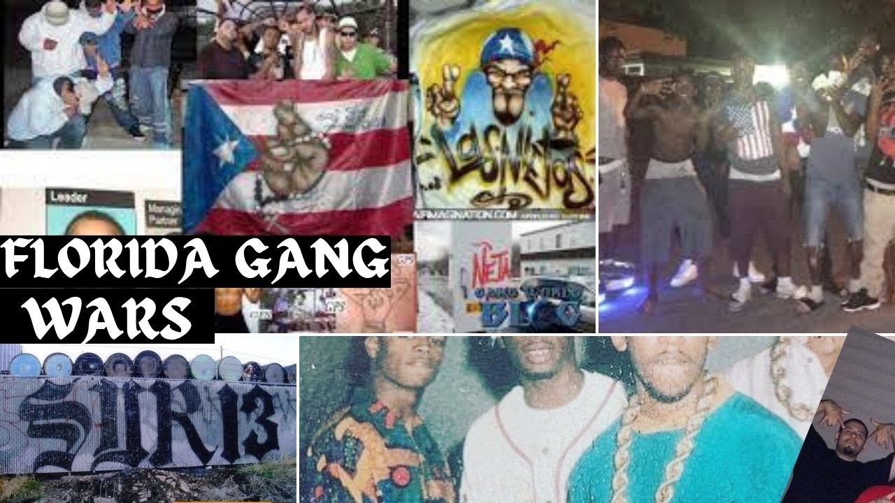 Most Brutal Florida Gang Wars - YouTube