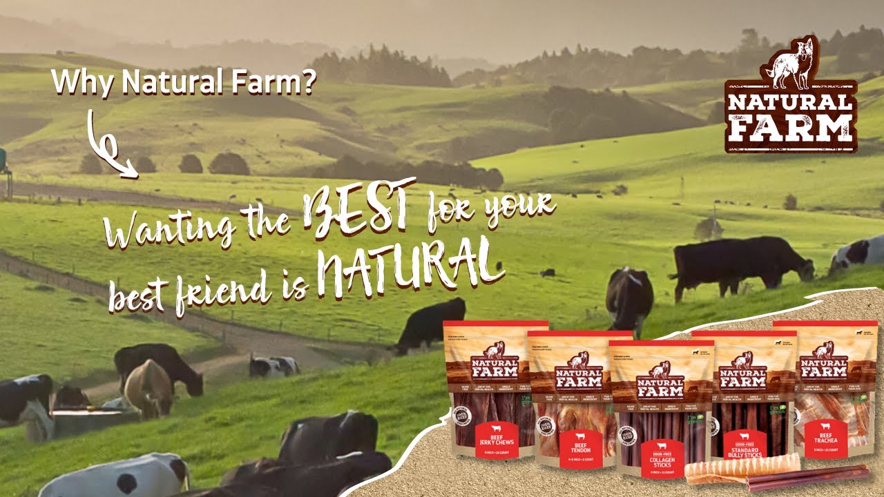 Truly Natural, Truly Delicious 🐾 [Natural Farm - 100% Natural Dog Chews ...
