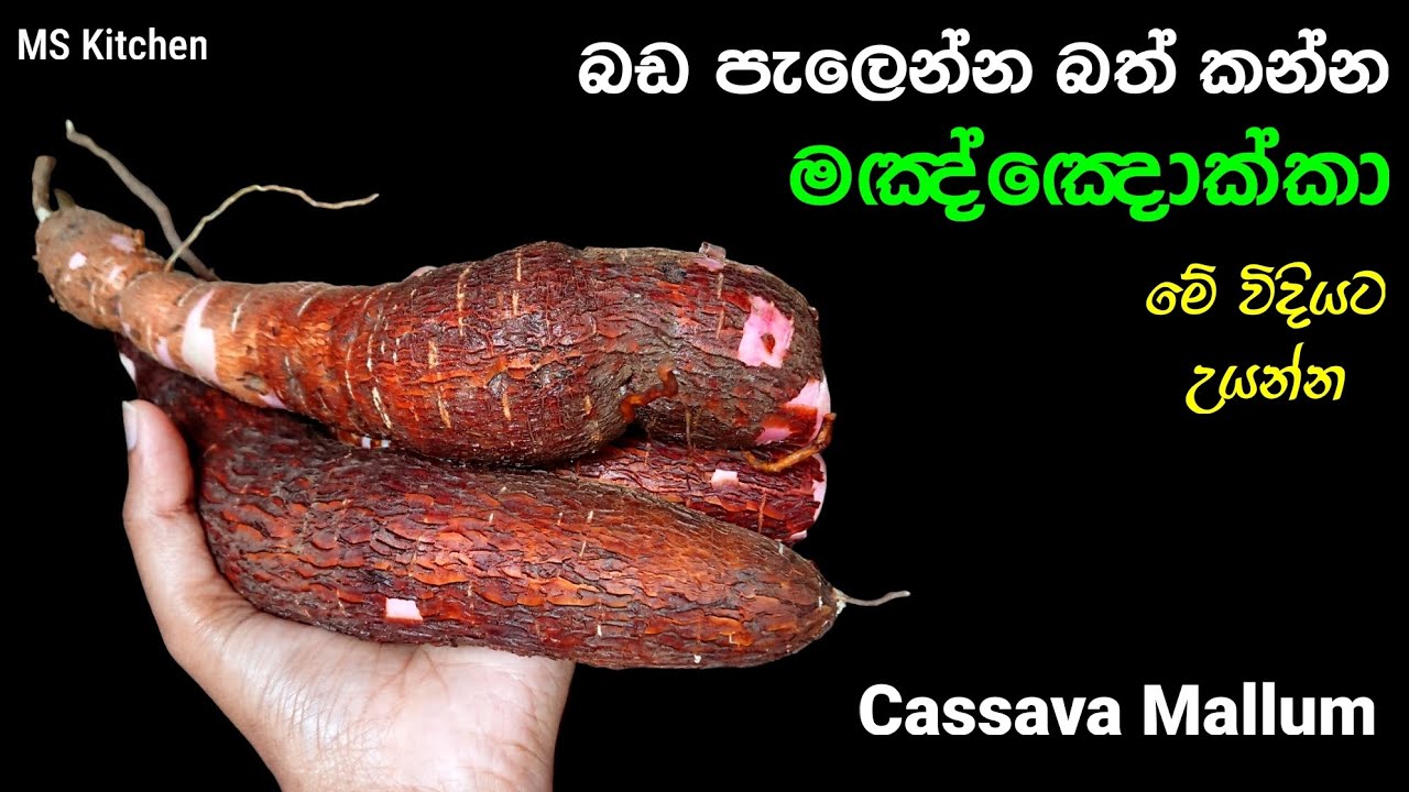 මඤ්ඤොක්කා මේ විදියට උයලා කාලා බලන්නකො රස | Manyokka | Cassava Mallum ...