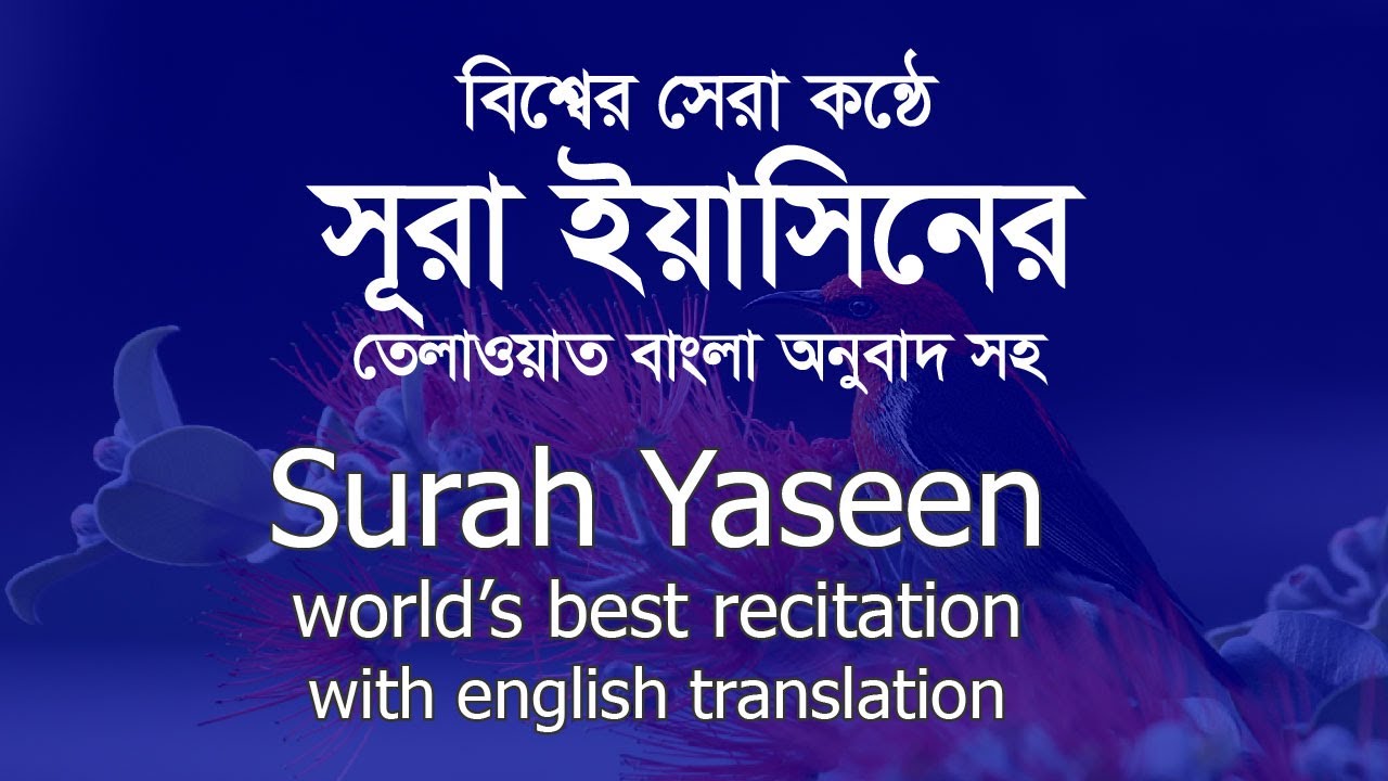 Surah Yaseen world s best recitation English and Bengali translation