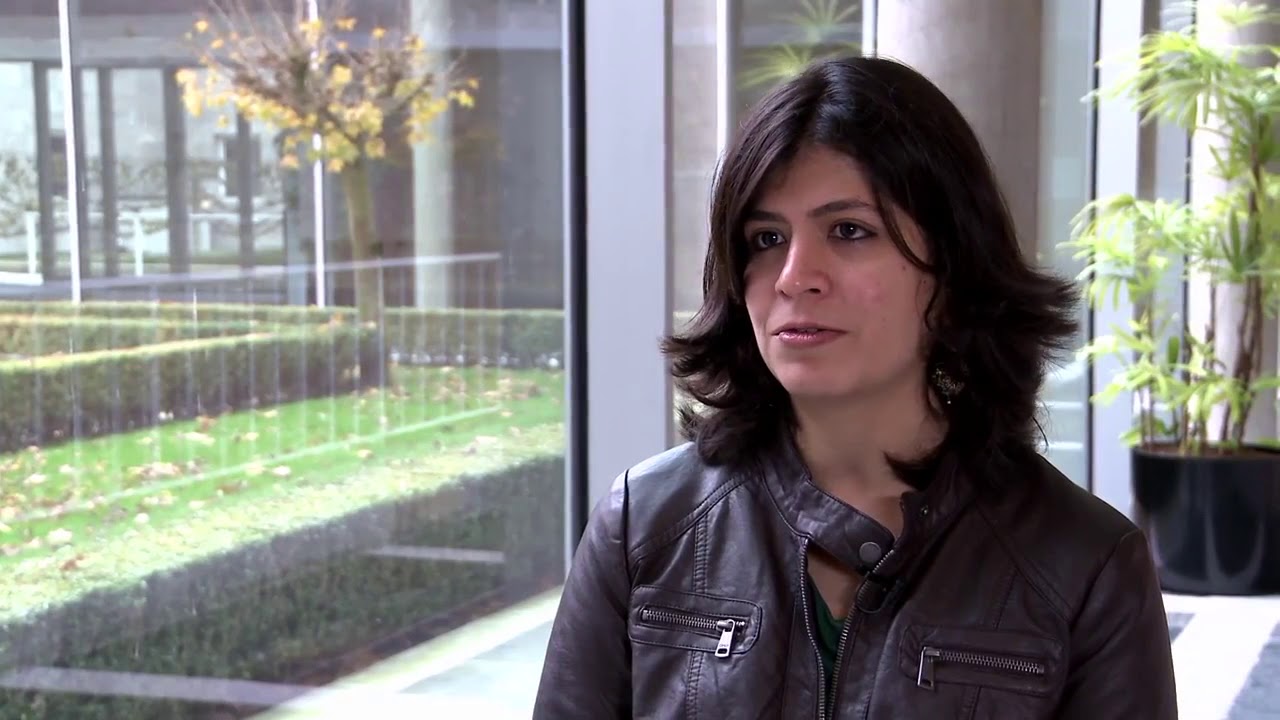 Master Information Management at Tilburg University - YouTube