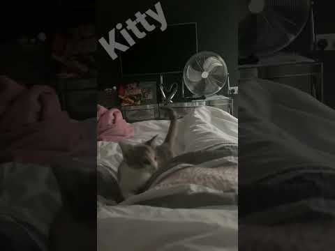 Little cute thing - YouTube